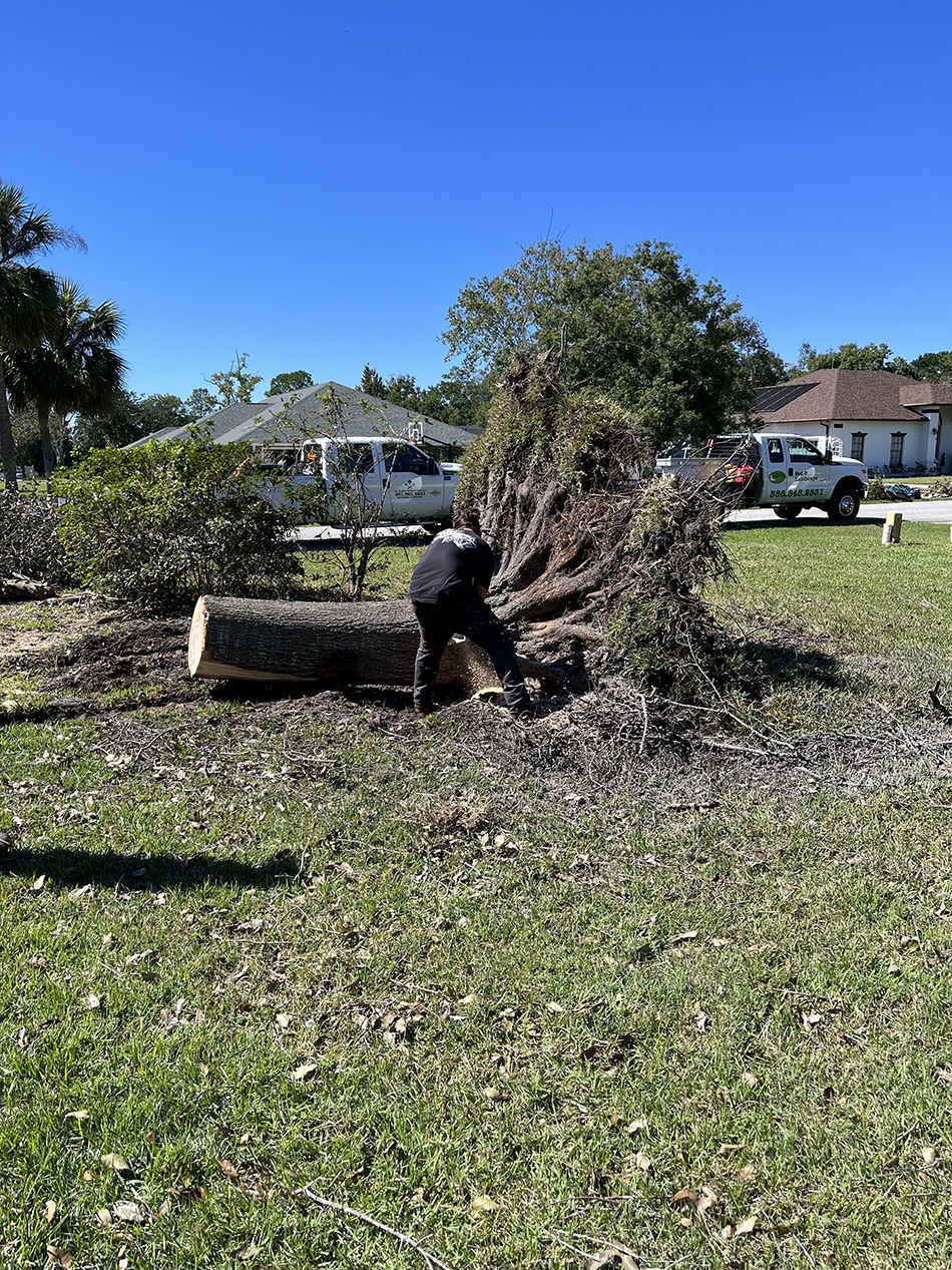 Trimming Services - Local Sod And Landscape