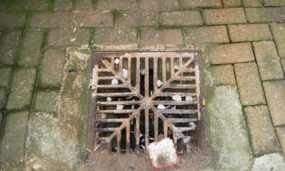 How to Spot Common Drainage Problems Before They Escalate - Local Sod ...